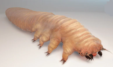 Demodex: το παράσιτο που προκαλεί φαγούρα στα μάτια - Maniateas